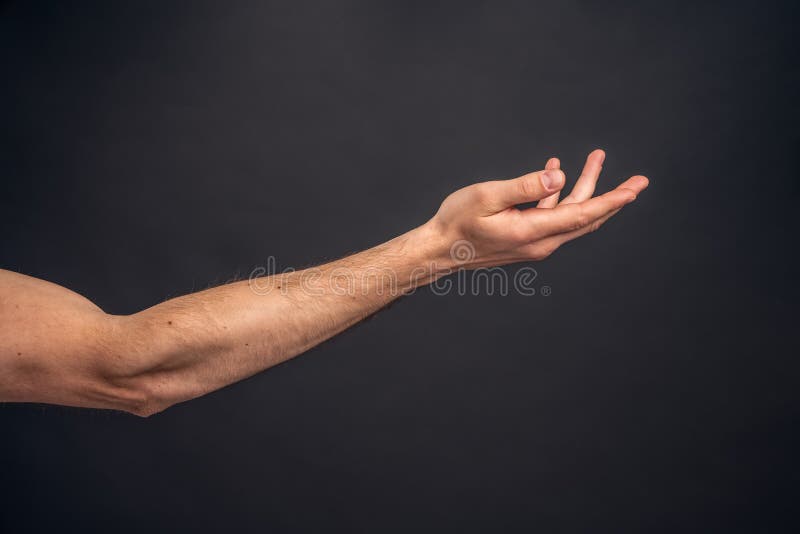 Outstretched Hand Of Man, Open Hand, Part Of The Body Isolated On White ...