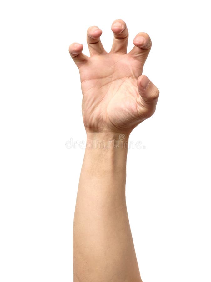 Finger Spelling American Sign Language Alphabet on White Background ...