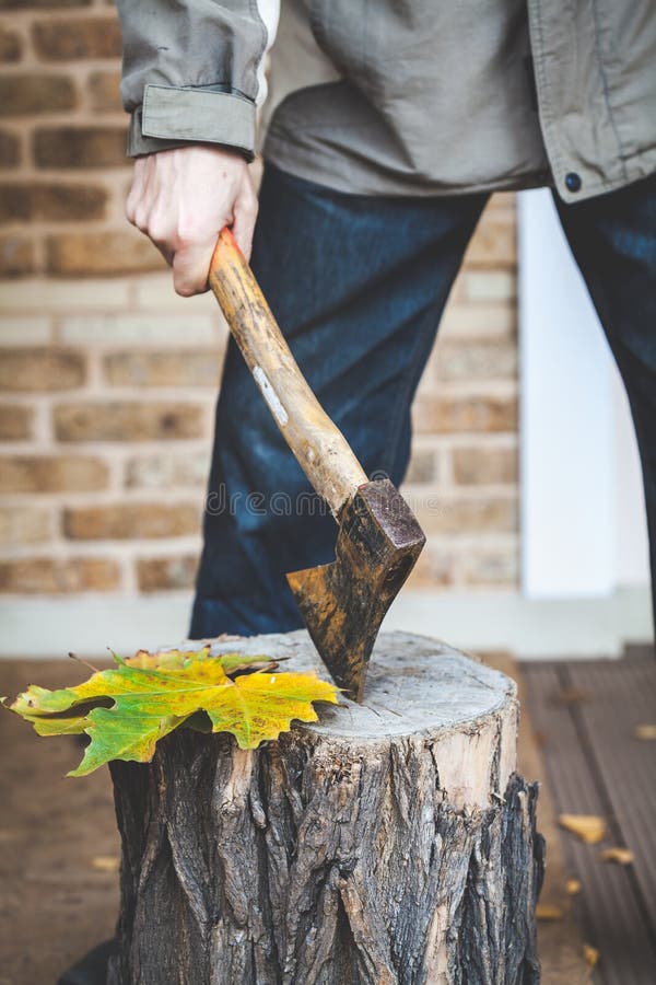 Man Hand Pulls Ax from Stump Stock Image - Image of green, tree: 78299309