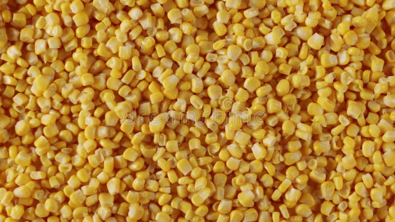 A Man Hand Putting Corn Kernels on the Surface. Stock Video - Video of ...