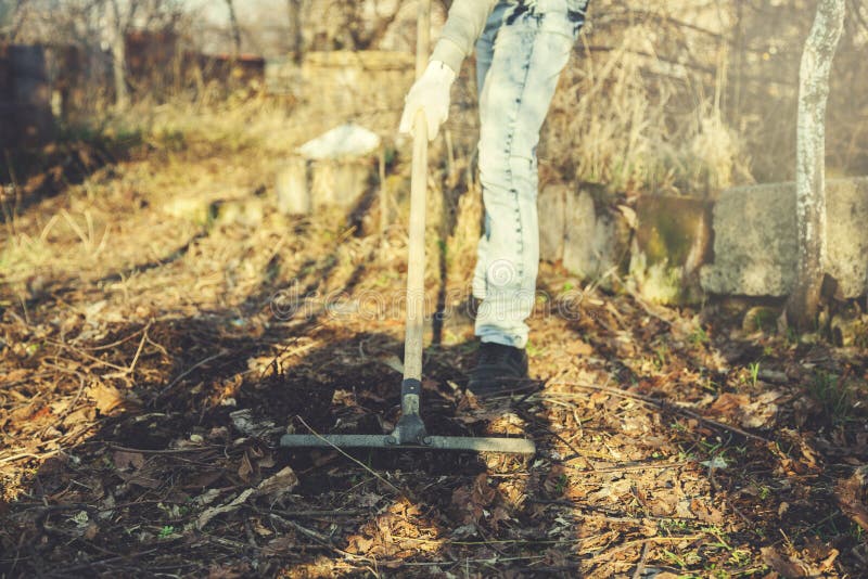 Man hand rake stock image. Image of ground, growth, people - 142718745