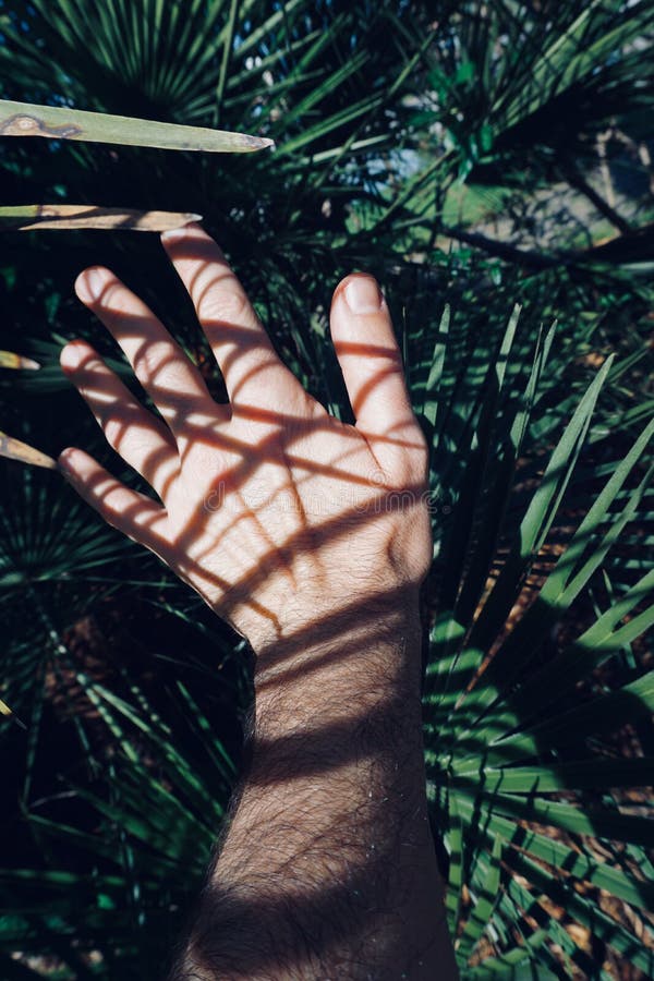 Man hand in the shadows stock image. Image of light - 162735717
