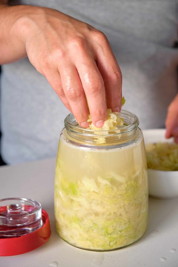 Man Hands Putting Cabbage into the Fermentation Jar To Prepare ...