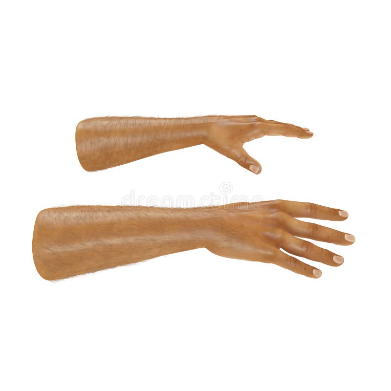 3d White People Side Hand Stock Illustrations – 555 3d White People ...