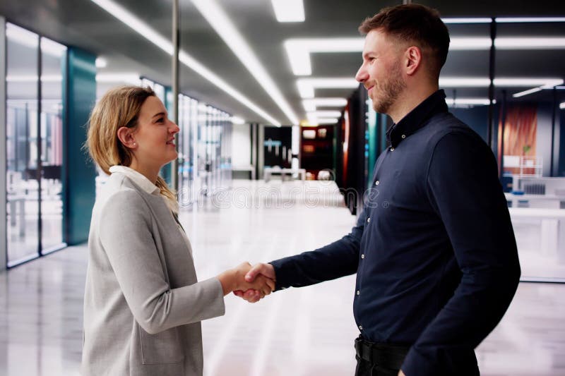 Man Handshake with Partner stock photo. Image of union - 309491066