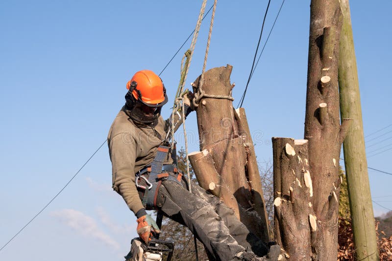 Man Swinging from Safety Harness Stock Image - Image of shackles ...