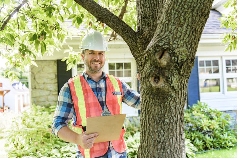Man with Hard Hat Standing in Front of a Tree Inspect Stock Image ...