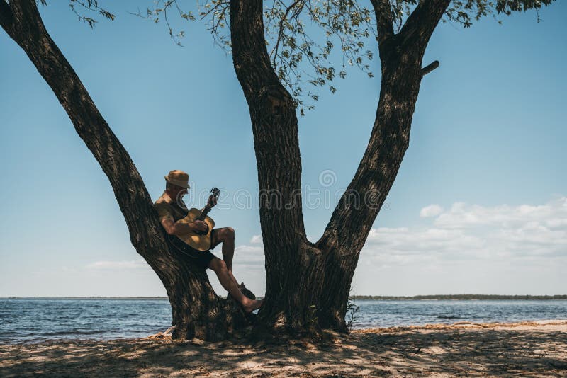184 Guitar Leaning Tree Stock Photos - Free & Royalty-Free Stock Photos ...