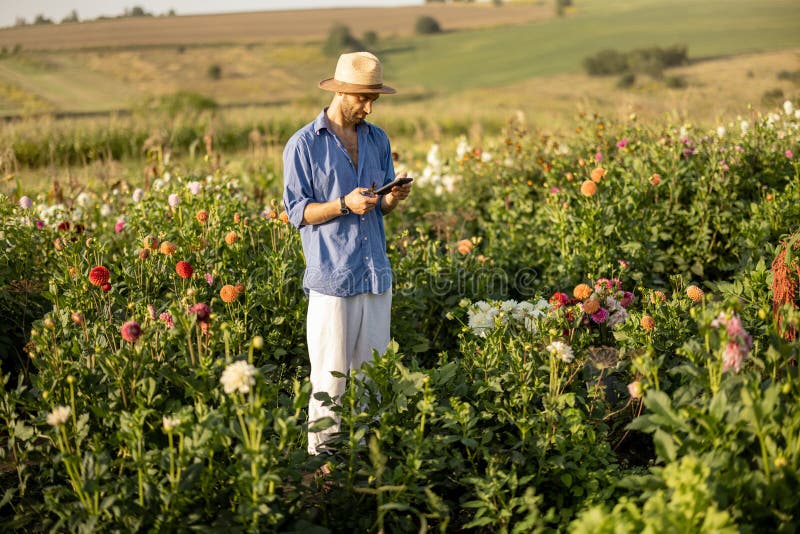 Farmer with Phone on Flower Farm Outdoors Stock Image - Image of farmer ...