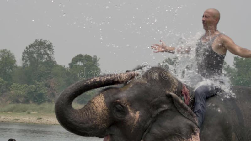 Man Have a Shower on the Elephant Stock Footage - Video of animal ...