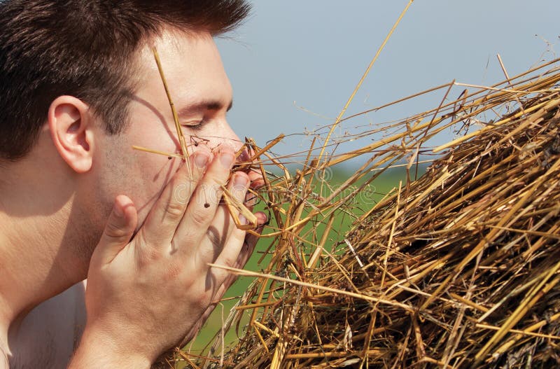 Man lifting hay bale stock image. Image of working, person - 9693735