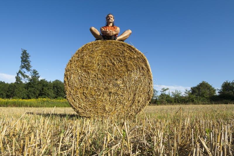 Tractor stock photo. Image of heavy, meadow, engine, agriculture - 954388