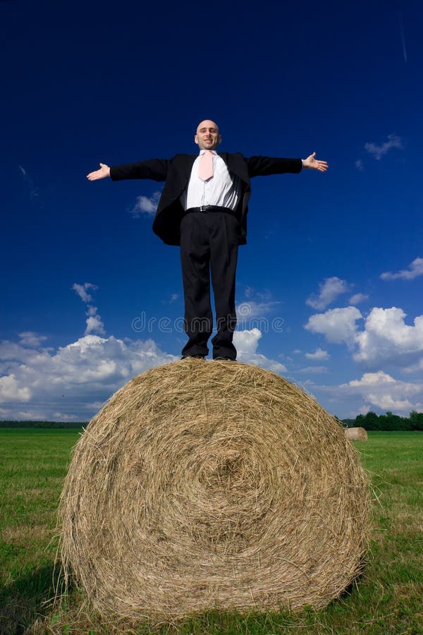 Man on hay bale stock image. Image of bald, posing, businessman - 5417405