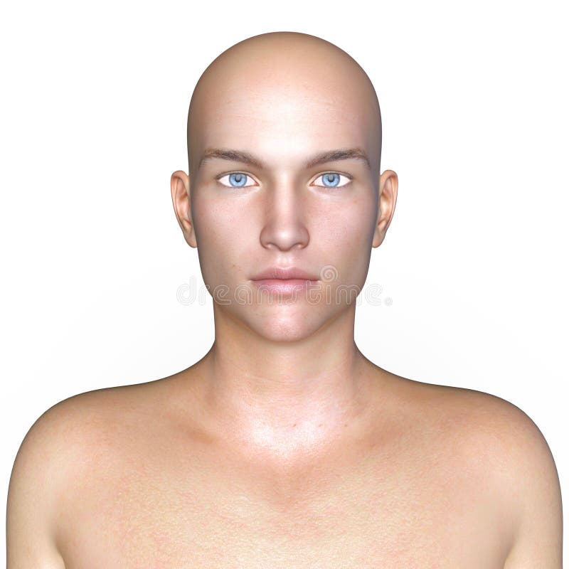 Man head stock photo. Image of neck, body, rendering - 81872492