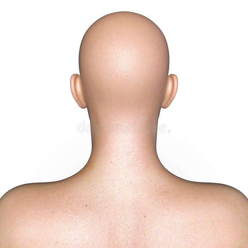 Man head stock photo. Image of neck, body, rendering - 81872492