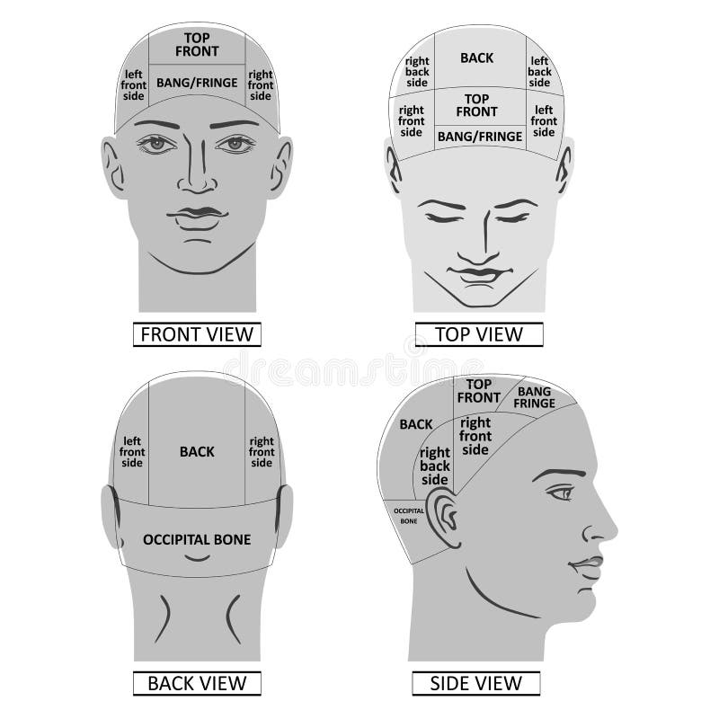 Outline Man Head Front Stock Illustrations – 1,970 Outline Man Head ...