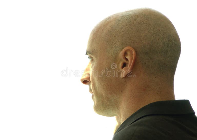 Skull Side Profile Stock Photos - Free & Royalty-Free Stock Photos from ...