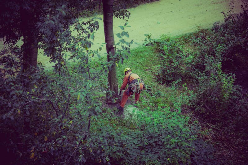 Worker in Uniform with Chainsaw Editorial Image - Image of profession ...