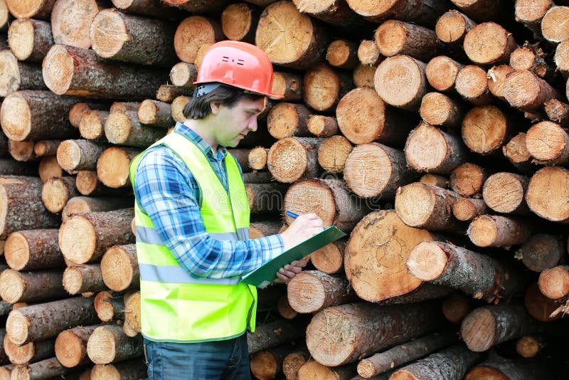 Man in Helmet Worker Wood Lumber Stock Photo - Image of gold ...