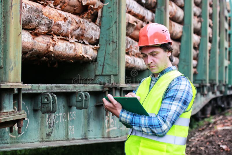 Man in Helmet Worker Wood Lumber Stock Photo - Image of forest, human ...