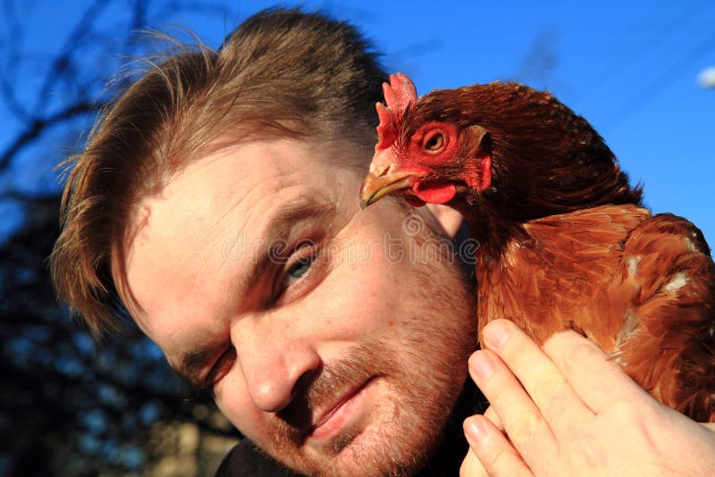 Man and her chicken stock photo. Image of poultry, domestic - 38816058