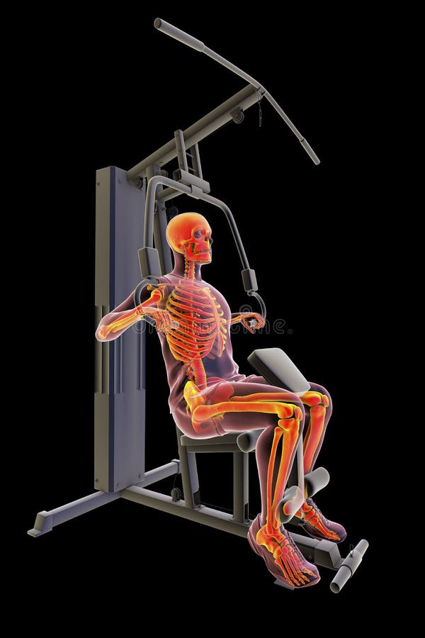 Man with Highlighted Skeleton Training on Hammer Strength Macine ...