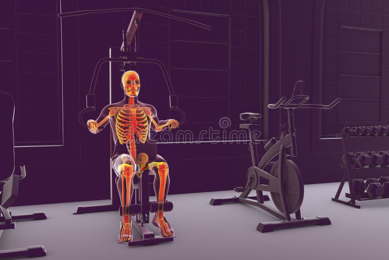 Man with Highlighted Skeleton Training on Hammer Strength Macine ...