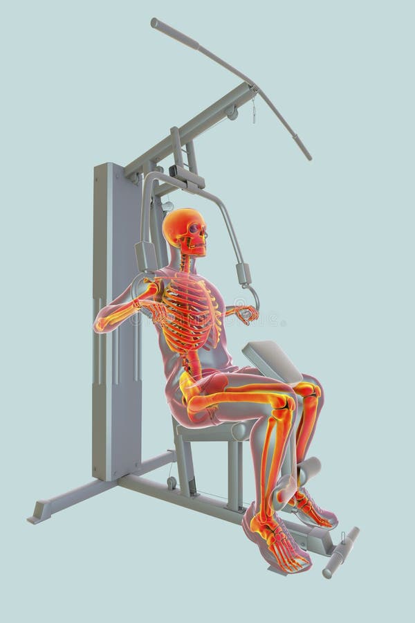 Man with Highlighted Skeleton Training on Hammer Strength Macine ...