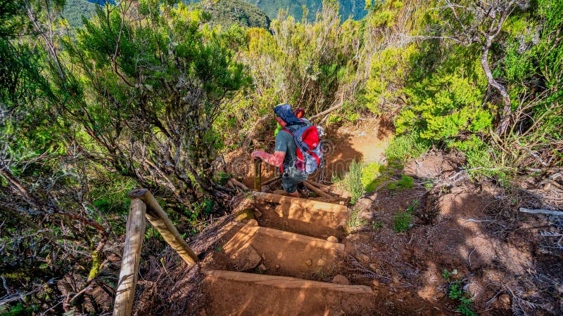 Man Hiker Walking Down a Steep Hillside Trail, Enjoying the Thrill of ...