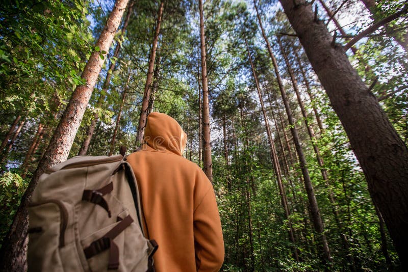 Man Hiking with Backpack in Green Forest. Back View Stock Photo - Image ...