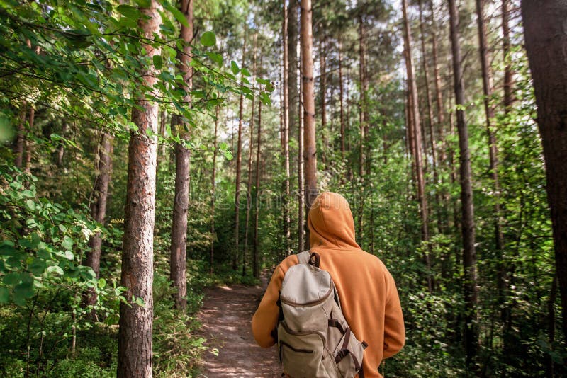 Man Hiking with Backpack in Green Forest. Back View Stock Image - Image ...