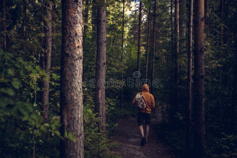 Man Hiking with Backpack in Green Forest. Back View Stock Photo - Image ...