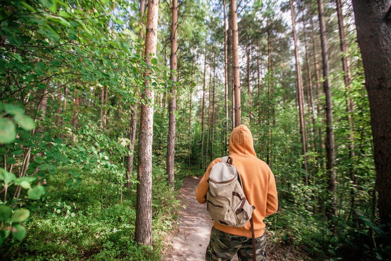 Man Hiking with Backpack in Green Forest. Back View Stock Photo - Image ...