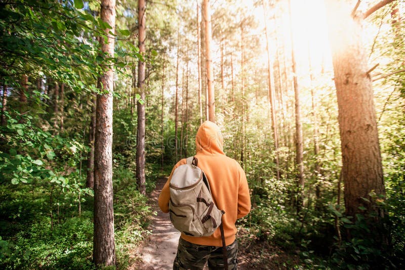 Man Hiking with Backpack in Green Forest. Back View Stock Image - Image ...