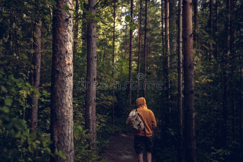 Man Hiking with Backpack in Green Forest. Back View Stock Image - Image ...