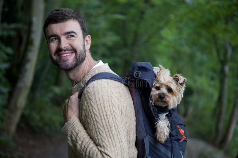 Man Hiking with Cute Dog Inside His Backpack Stock Photo - Image of ...