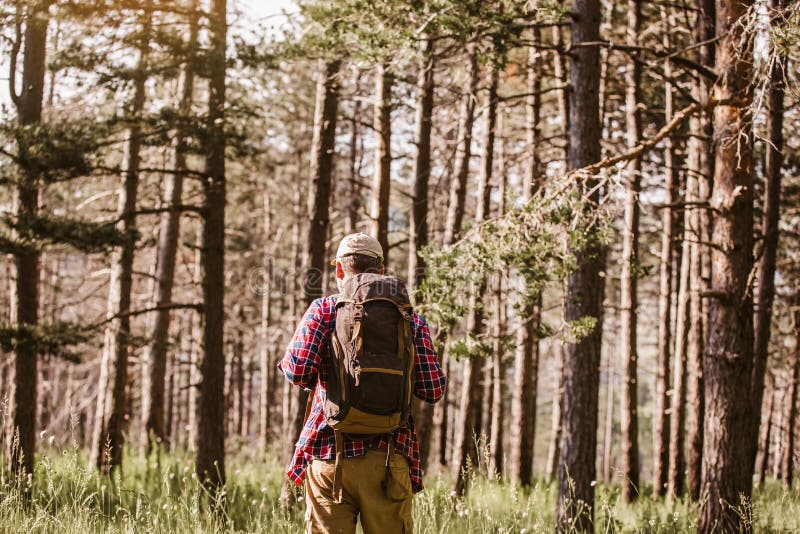 Man with Hiking Equipment Walking in Forest Stock Photo - Image of ...