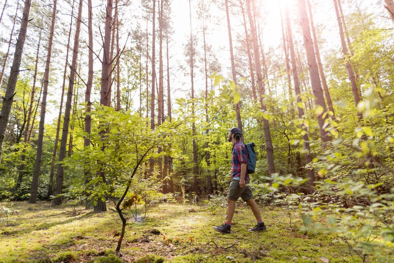 Man hiking in the forest stock image. Image of green - 158757893