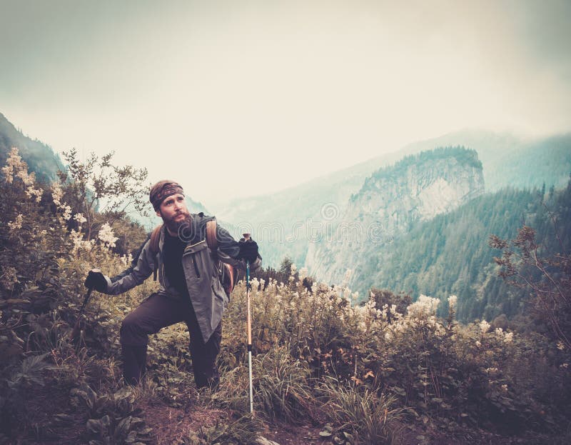 Man Hiking in a Mountain Forest Stock Image - Image of cloud, activity ...