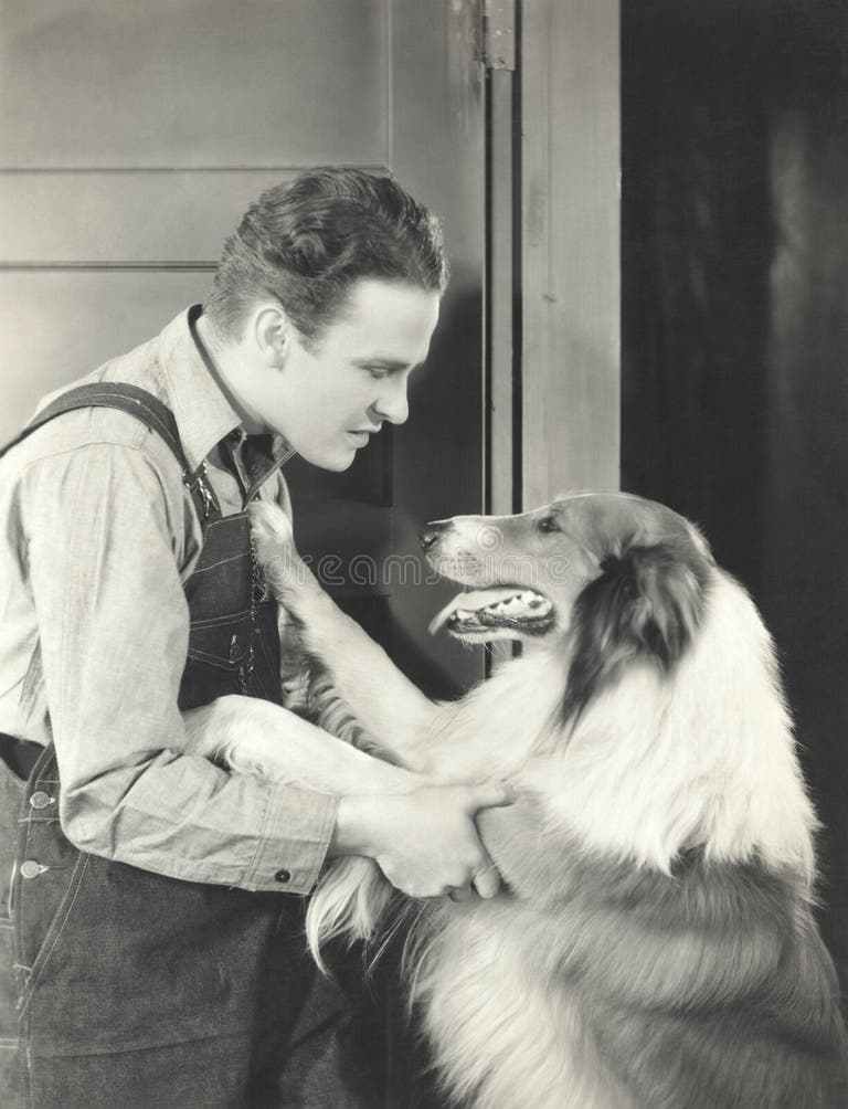 Rough Collie Man Stock Photos - Free & Royalty-Free Stock Photos from ...