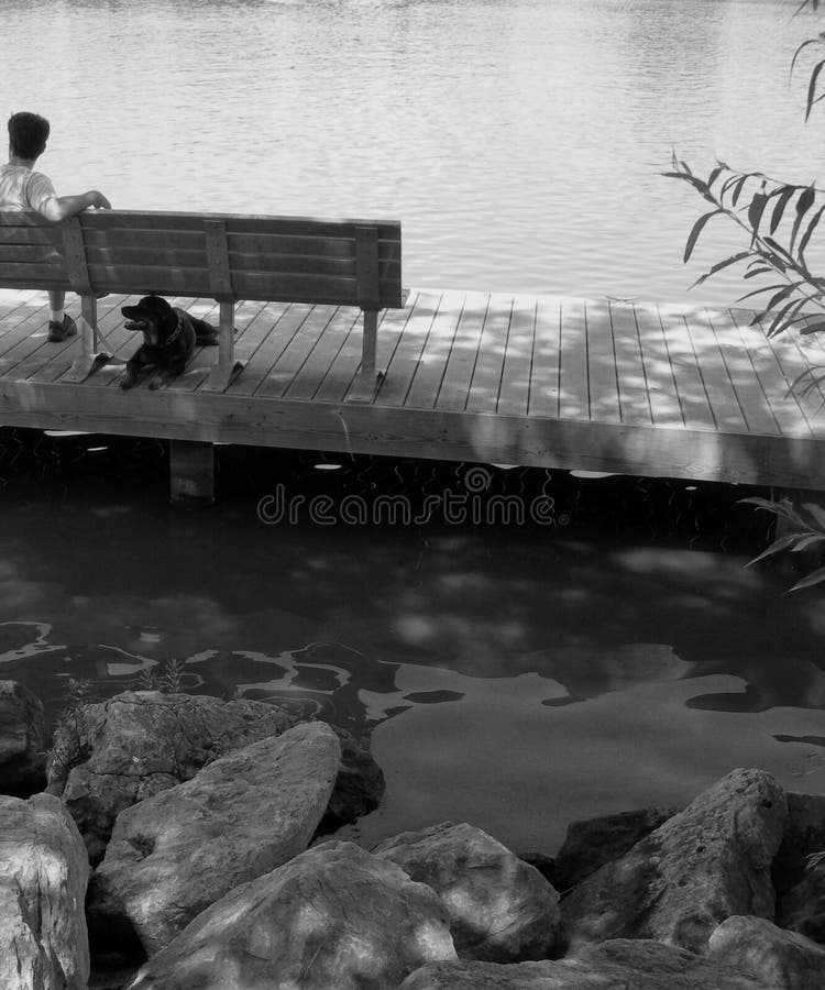 Man and his dog stock image. Image of bench, partners - 2778439