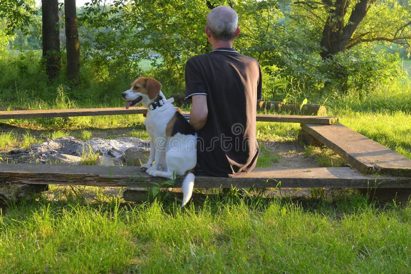 A Man and His Dog Sitting on a Bench in Nature. Concept of Dog Devotion ...