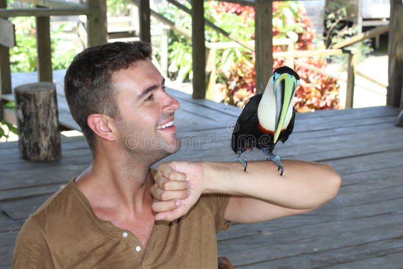 Man and His Domesticated Toucan Bird Stock Photo - Image of friendly ...