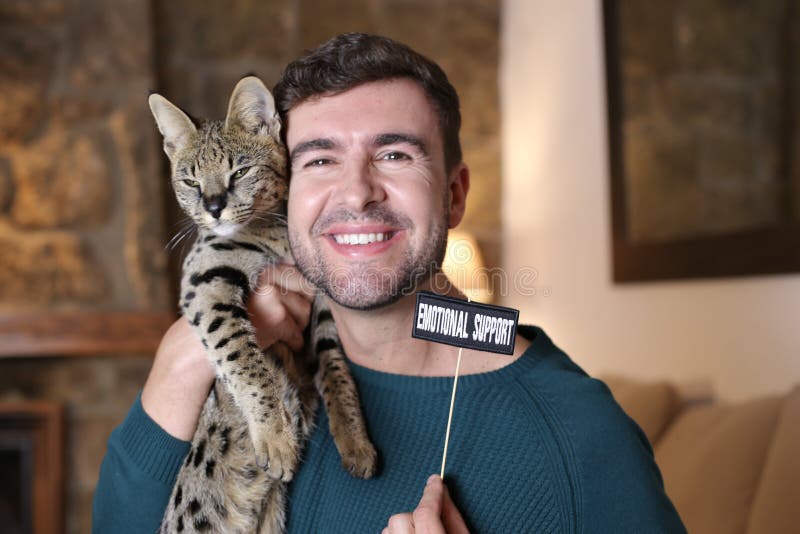 Man and his service cat stock image. Image of disabled - 240549607