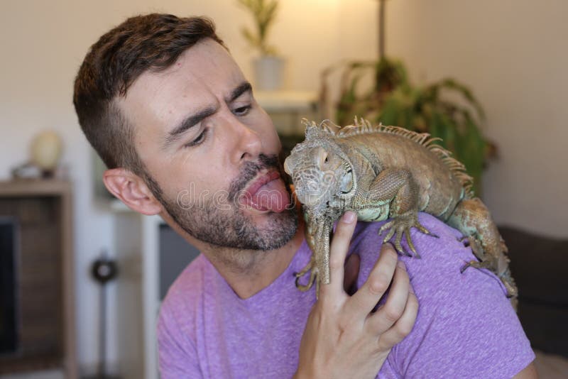 Man and His Spectacular Iguana Stock Photo - Image of creature ...