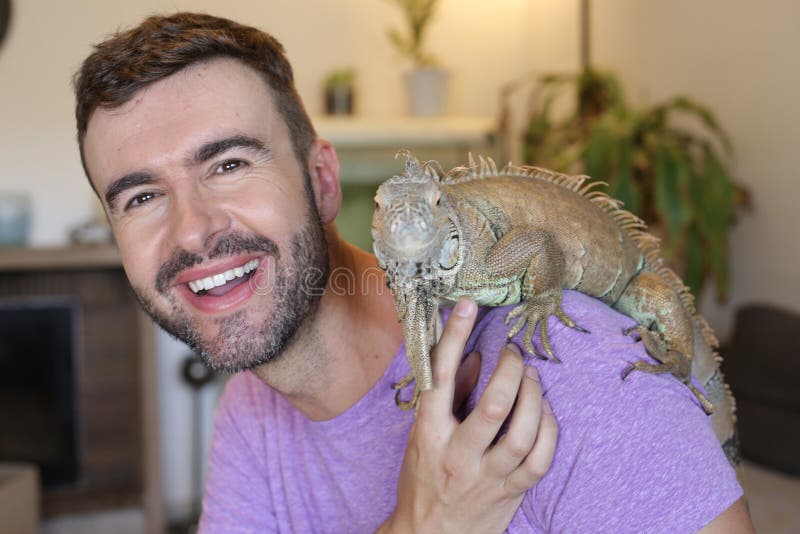 Man and His Spectacular Iguana Stock Photo - Image of exotic, adult ...