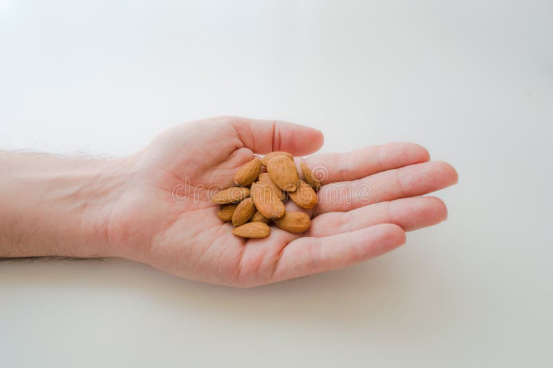 Man Holding Almonds in His Hand on a White Background Stock Image ...
