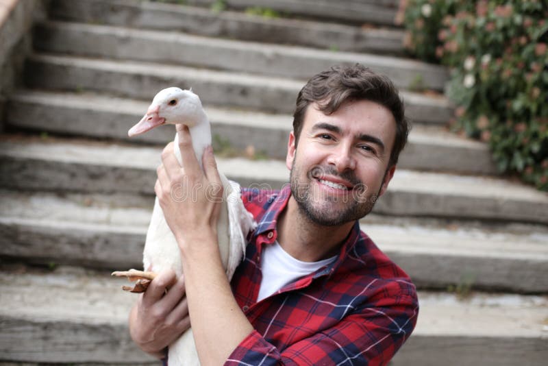Man Holding a Beautiful White Duck Stock Image - Image of animals ...