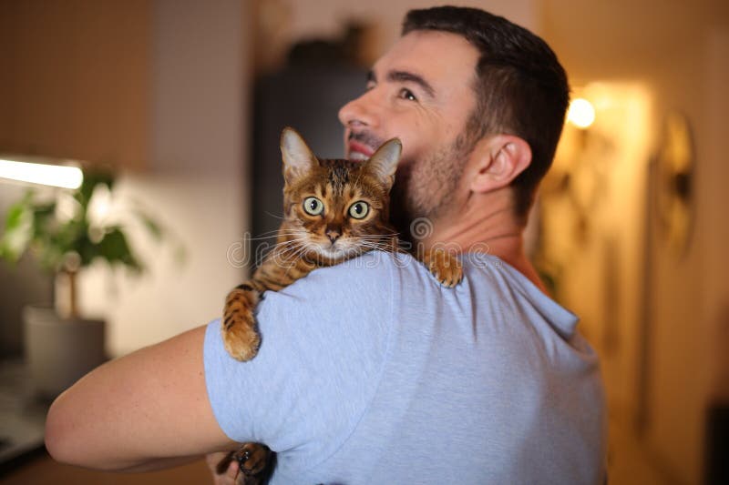 Bengal Cat Holding an Iron with Its Paws Stock Image - Image of ...