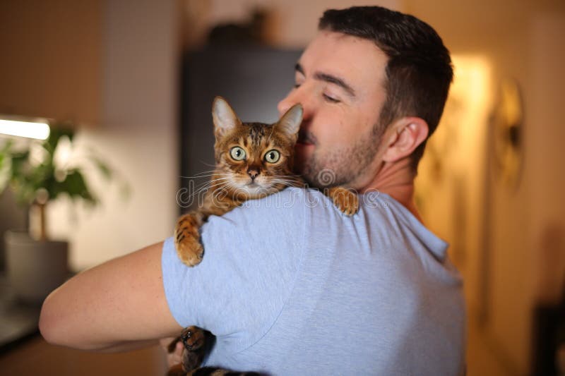 Bengal Cat Holding an Iron with Its Paws Stock Image - Image of ...